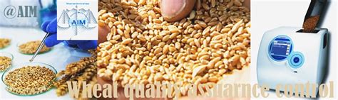 Wheat Quality Inspection
