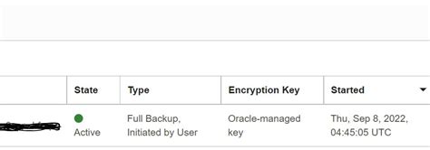 Oracle Apps Dba Pieces Upgrade Oracle Db To 1916 On Oci Vm Db Systems