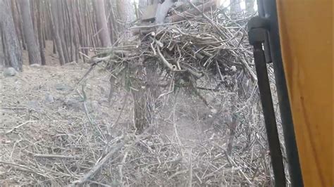 굴삭기 나무우적상차 Youtube