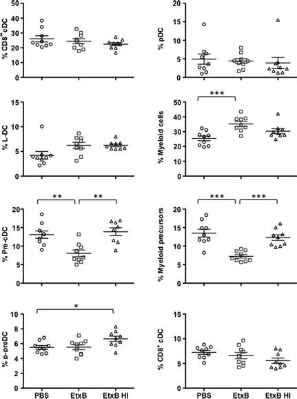 Representation Of Subsets In Spleen Mature Dendritic And Myeloid