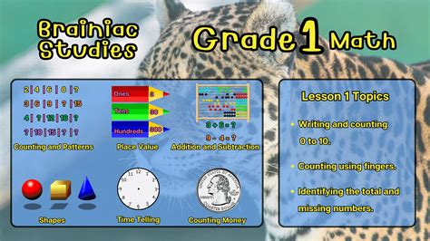 Grade 1 Brainiac Studies