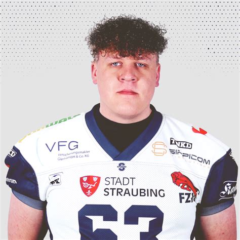 Tim Gabriel Straubing Spiders