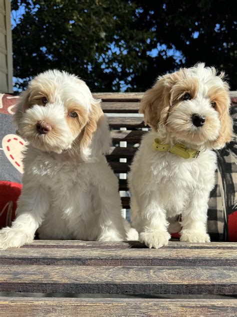 Beautiful Pink Column 25 Years I Cant Believe It Seems Like Forever Ago We Made It To 18