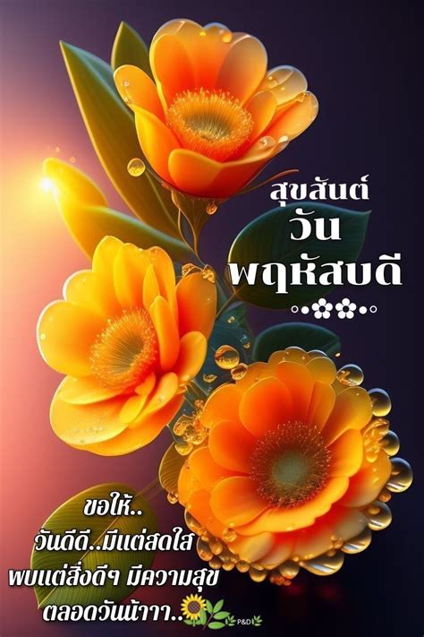 วันพฤหัสบดี🌿🧡 อรุณสวัสดิ์ การถ่ายภาพดอกไม้ สวัสดีตอนเช้า