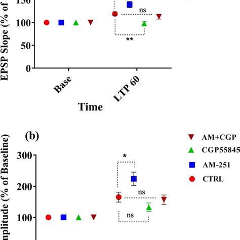 Time Dependent Alterations In Hippocampal Responses To Perforant Path