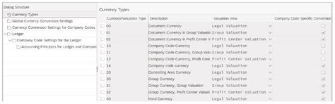 Defining Currency Types For The General Ledger In Sap S4hana