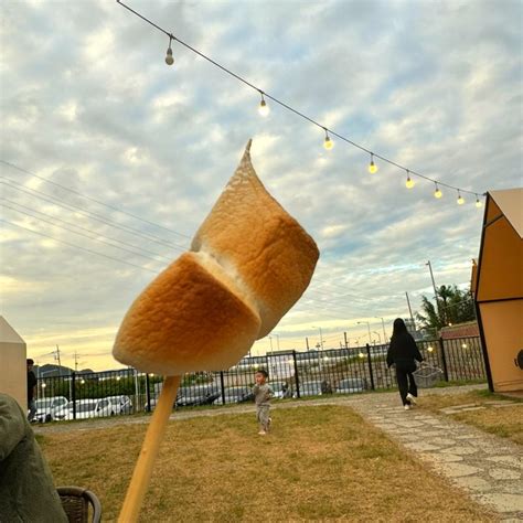 서울근교맛집 글램핑 식당 김포 야자수캠핑바베큐 네이버 블로그