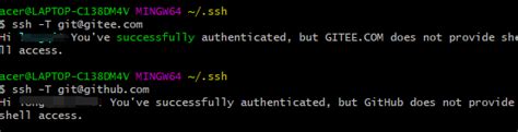 Git设置多账号生成ssh公钥分别连接gitee和github Wangjies Blog