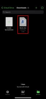 How To Open An Xlsx File On An IPhone