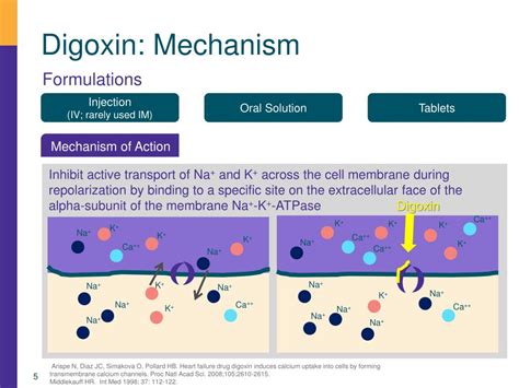 Ppt Digoxin Toxicity Powerpoint Presentation Free Download Id2420769
