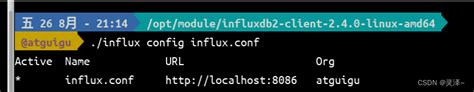 （十）使用influx命令行工具influx Cli Csdn博客