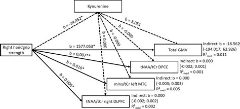 Figure 4 From Neurobiology Of Aging Semantic Scholar