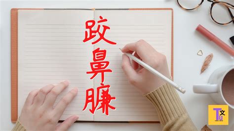 「跤鼻臁」是身體啥物器官？臺語閣欲按怎唸？｜臺語硬筆字楷書練習｜2022｜練字教學＃5 Shorts Youtube