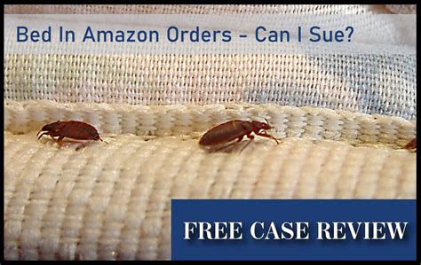Bed Bugs In Amazon Orders Can I Sue Bed Bug Lawyer Los Angeles Bed Bug Attorney