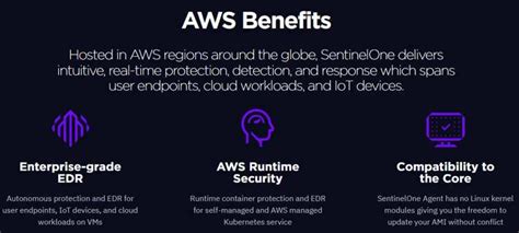 Sentinelone App For Aws Elastic Dr Integration For Protecting