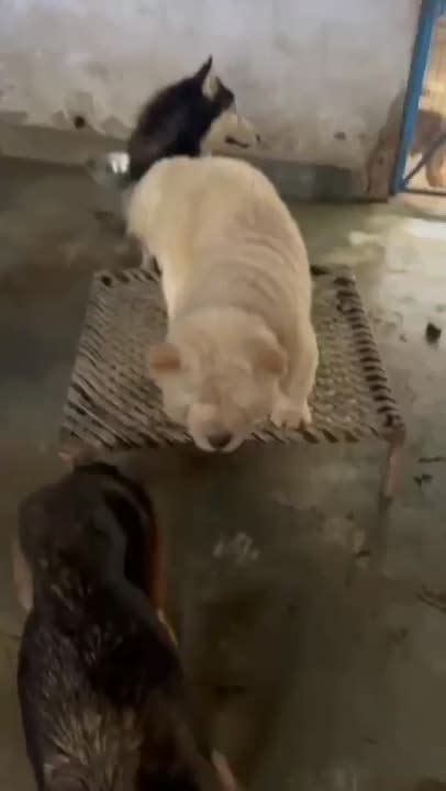 Sudhir Sachdeva Posted On Linkedin