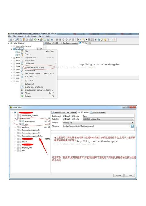 使用heidisql高效导出与导入mysql数据教程 Csdn文库