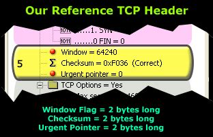 TCP Window Size Checksum Urgent Pointer Section