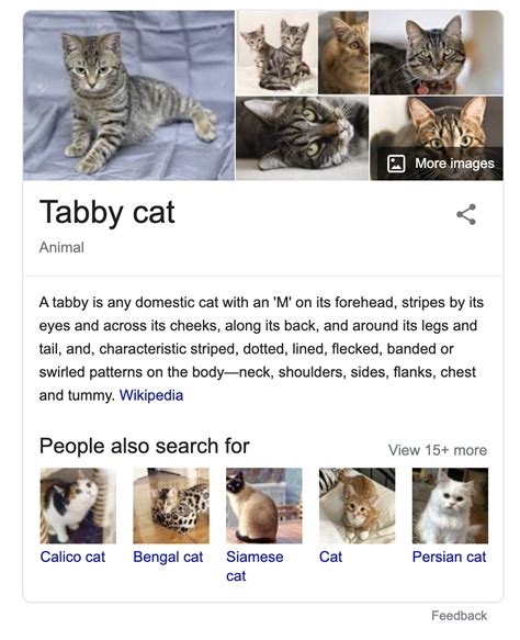 cannot find a way to feed a single image to inceptionv3 · issue 86