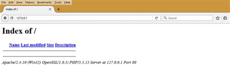 installing wordpress on localhost xampp theme4press