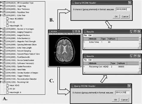 Creation Of Dicom—aware Applications Using Imagej Springerlink