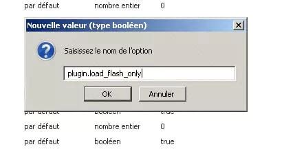 Activer Les Plugins NPAPI Sur Firefox