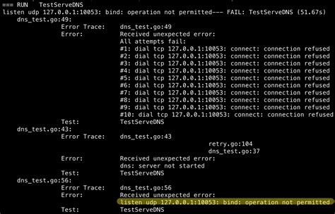 Dns Resolution Not Working On Macos With Bind Operation Not Permitted · Issue 237 · Puma