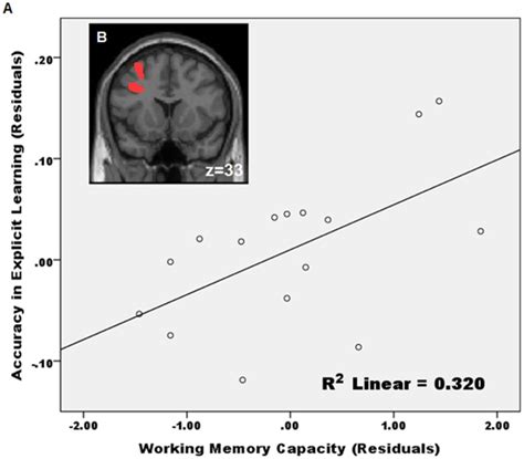 Working Memory Capacity In The Explicit Group Showed A Positive Download Scientific Diagram