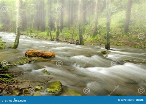 Trunk In The River Stock Image Image Of Stream Forest 53754163
