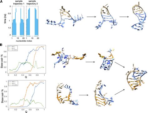 Rna Folding Pathways From All Atom Simulations With A Variationally Improved History Dependent