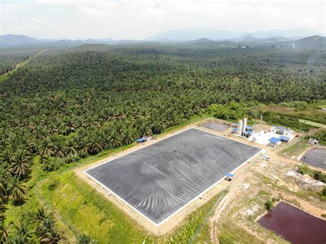 Foong Lee Sawiminyak Palm Oil Mill Green Lagoon