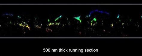 Imaging Technology Allows Visualization Of Nanoscale Structures Inside