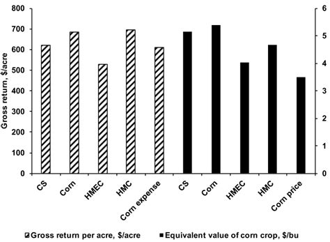 Corn Silage Inclusion Level In Feedlot Diets Beef