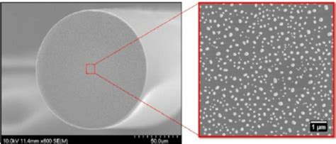 Sem Image Of The Fabricated Lspr Sensor Left And Inset Shows The