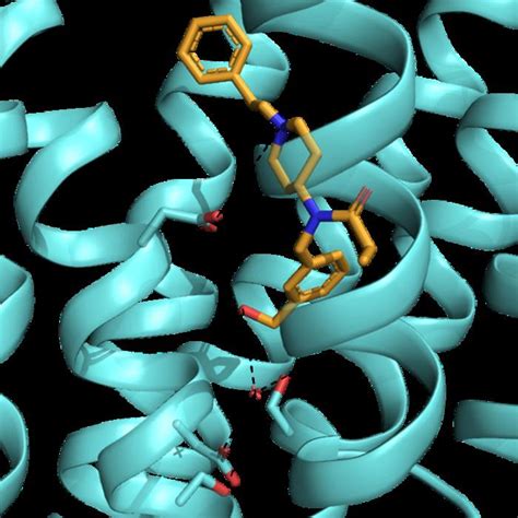 Designing Safer Opioids [image] Eurekalert Science News Releases