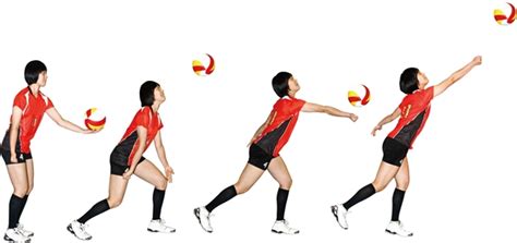 금성출판사 티칭백과