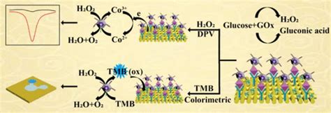 Ultrasensitive Microfluidic Paper Based Electrochemical Visual Analytical Device Via Signal