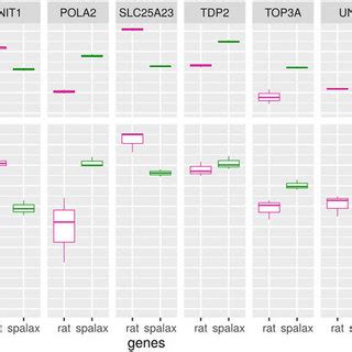 Comparison Of RNA Seq Normalized Read Counts To The Normalized