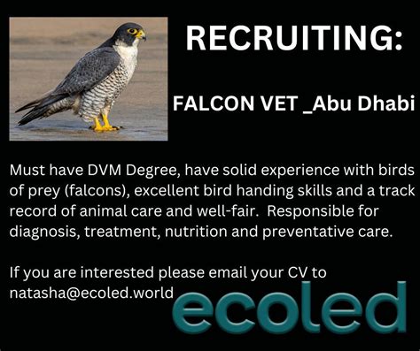 Natasha Kirchmann On Linkedin Falconry Birdofprey Avianvet Bird