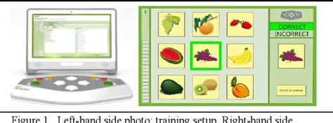 Figure 1 From The Effect Of Computerized Cognitive Training On Body Function And Activity