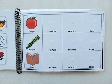 Busy Book Sorting By Function Feature Class Special Supplies