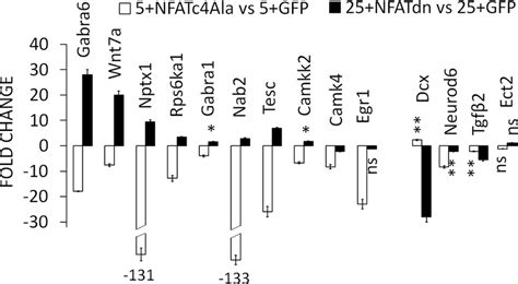 Nfat Proteins Regulate Nfi Switch Gene Expression Cgns Were Transduced Download Scientific