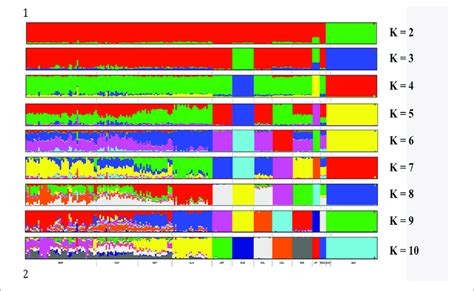 admixture based clustering k 2 k 10 each individual is