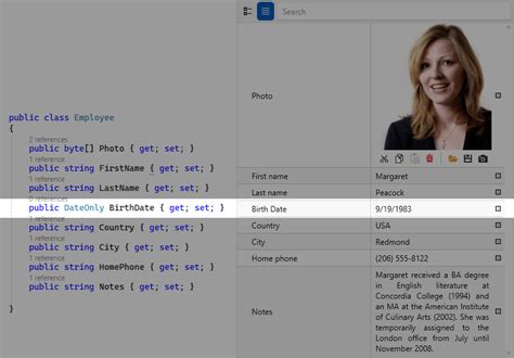 Wpf — Early Access Preview V242