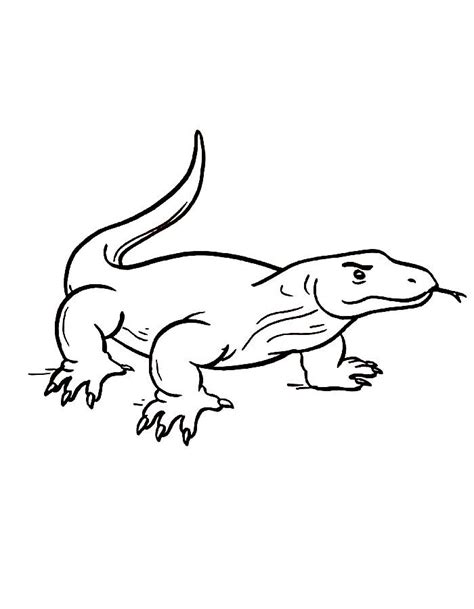 Lizard Komodo Dragon Coloring Page