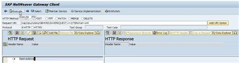 Solved Sap Fiori Leave Request Error In Launchpad Sap Community