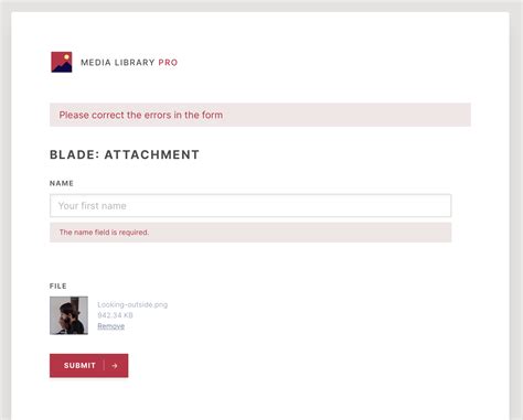 Media Library Pro Makes Uploading Files To A Laravel App A Breeze Freek Van Der Hertens Blog