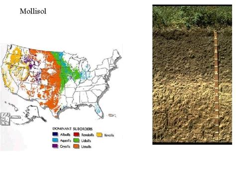 Classification Of Soils I Zonal Classification Of Soils