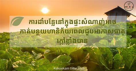 ព័ត៌មានកសិកម្ម នាទីកសិកម្ម Kaksekam Time