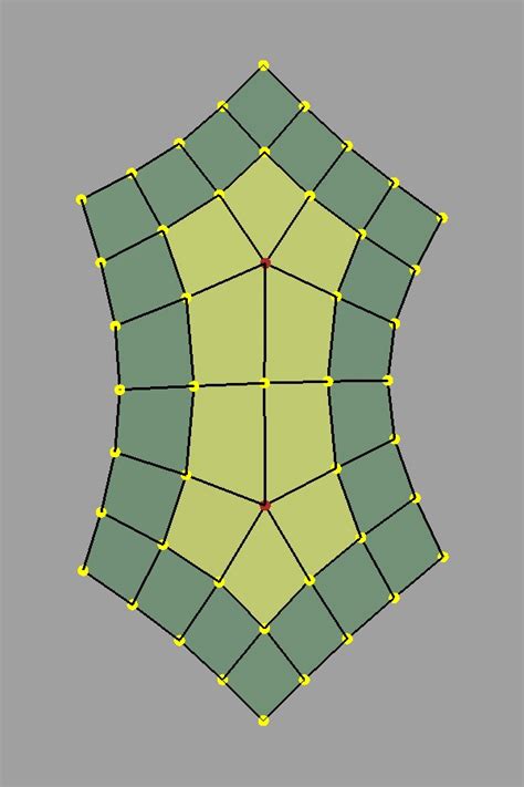 Subdivision Surfaces